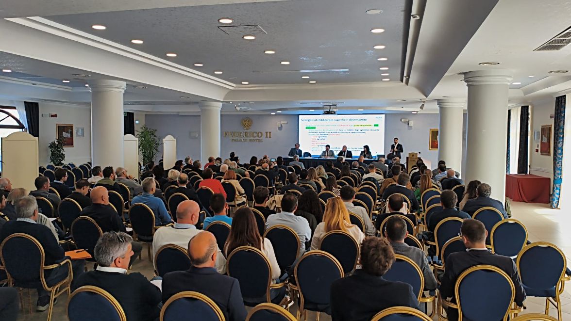 Stato dell’arte della PAC 2023/2027 e prospettive future della PAC 2028 ...